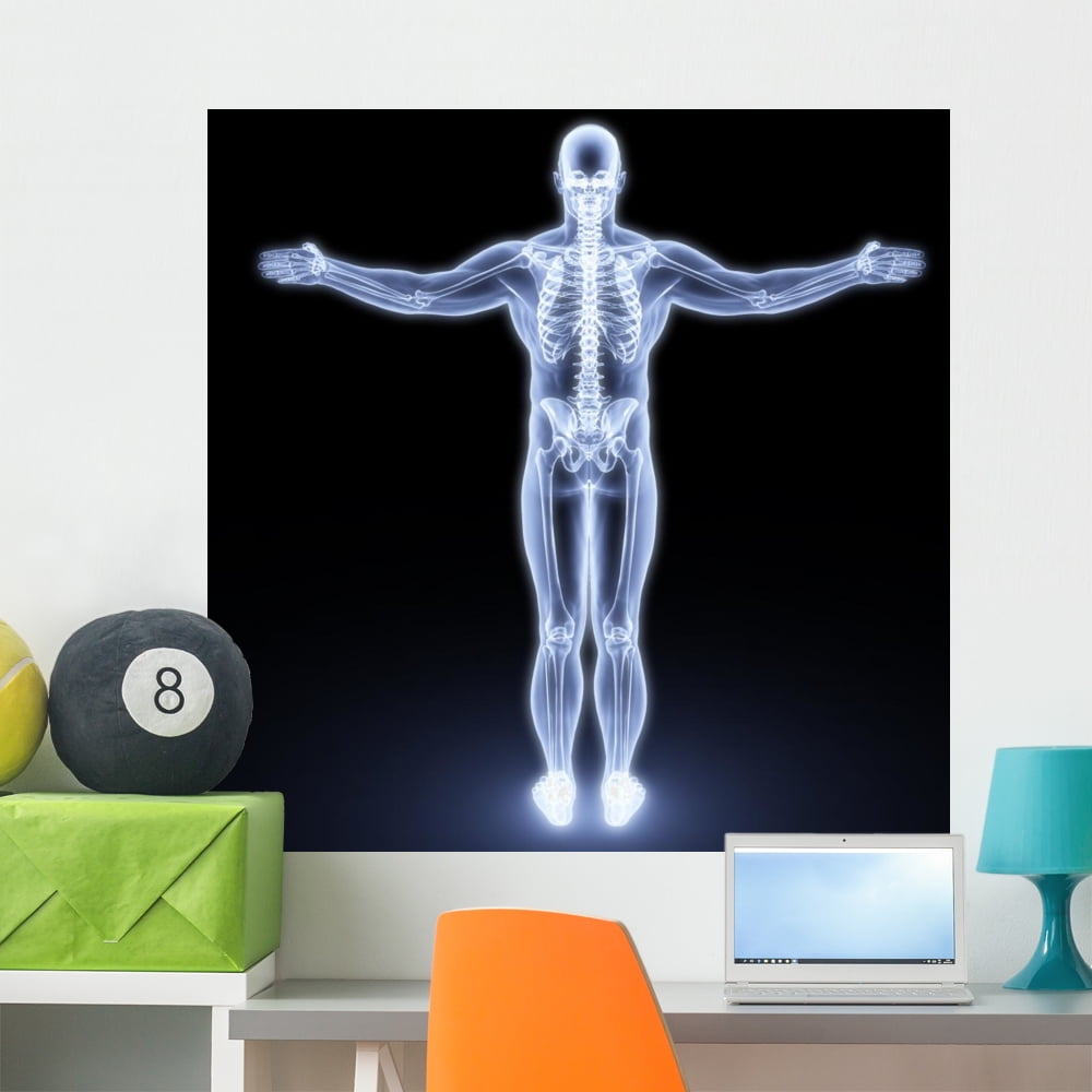 Human Body Wall Mural by Wallmonkeys Peel and Stick Graphic (36 in H x ...