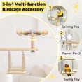 Bird Perch & Swing Toy Combo, Bird Toys for Parrots with 360° Spin ...