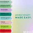 MOXE Nasal Sticks 8 Set - Essential Oils Aromatherapy for Sinus ...