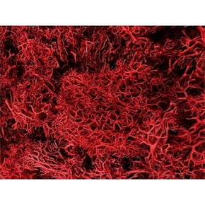 Red Mulch | Walmart Canada