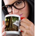3drose, Florida Cypress Tree, 11oz Two-tone Red Mug - Walmart.com
