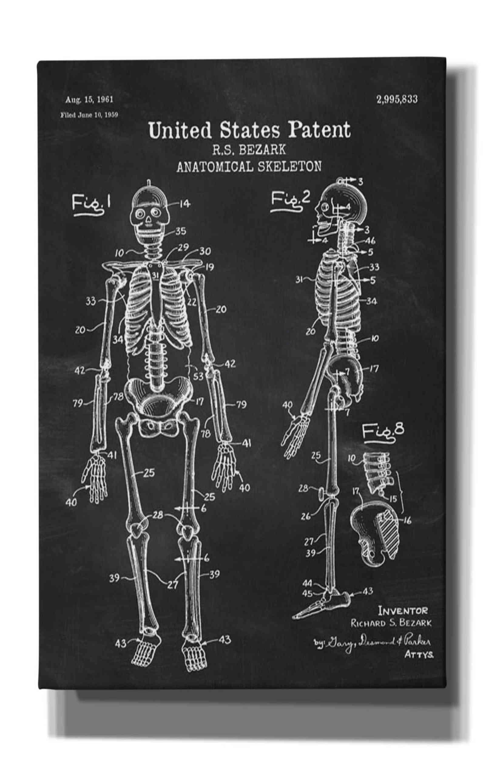 Epic Graffiti 'Anatomical Skeleton Blueprint Patent Chalkboard' Canvas ...