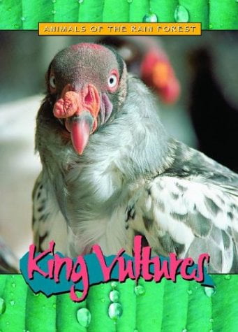 Pre-Owned King Vultures (Hardcover) 0739868373 9780739868379 - Walmart.com