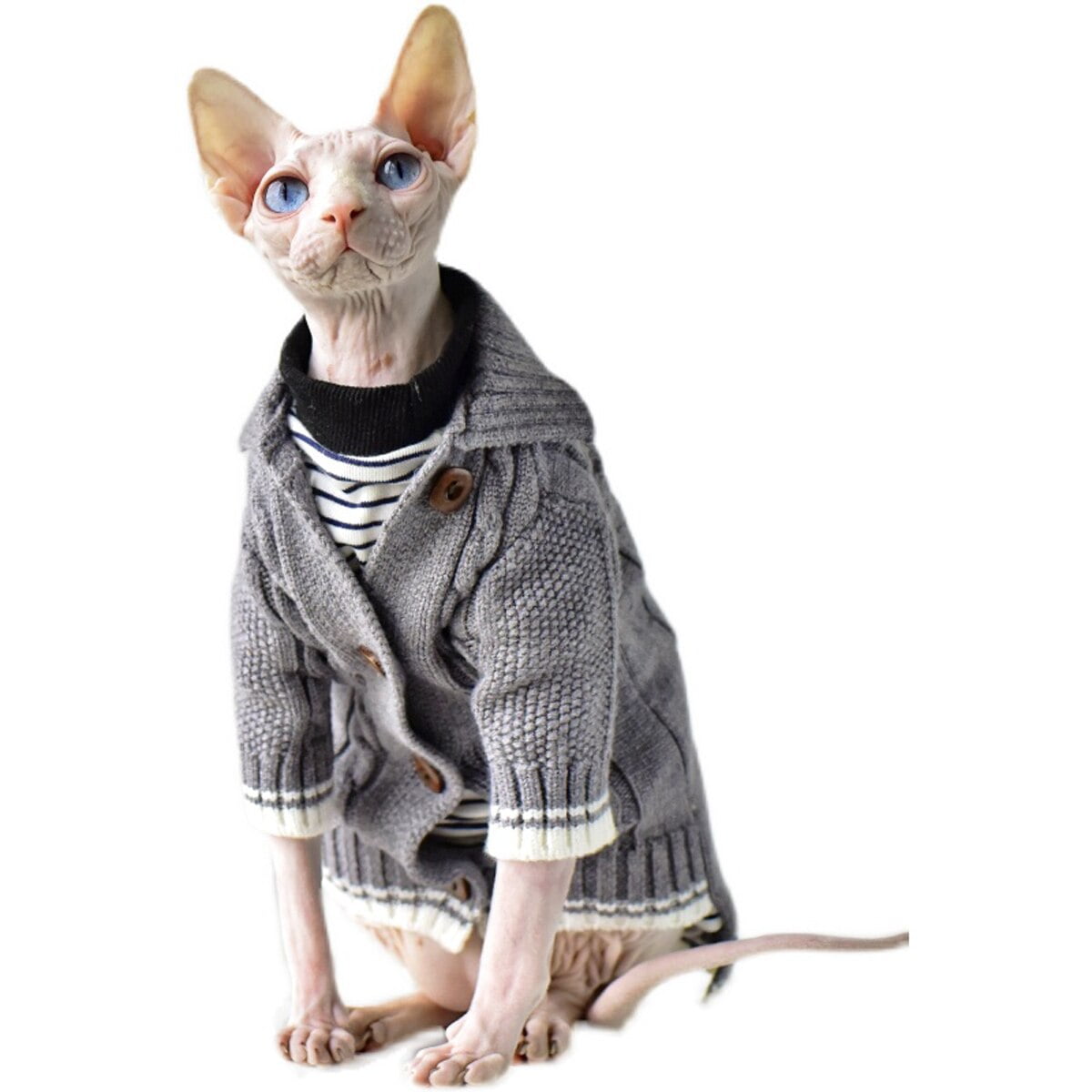 Click here for Duomasumi Sphynx Cat Clothes Exclusive Design Deta... prices