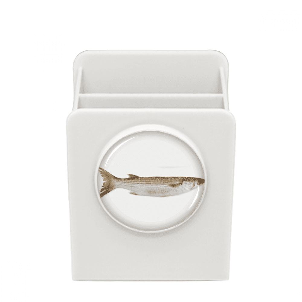 Ocean Fish Fresh Activity Desk Pencil Holder Cup Pen Organizer ...