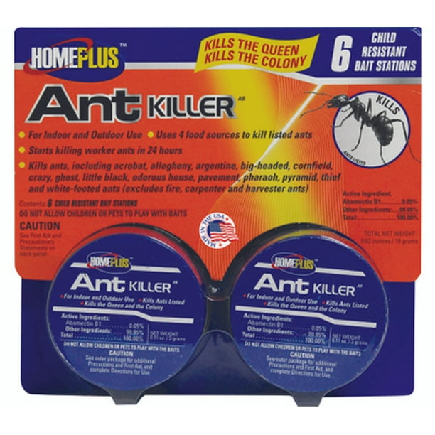 Ant Home