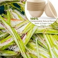 Bulk 150Pk. 8 OZ Paper Bowls Disposable Heavy Duty Small Compostable ...