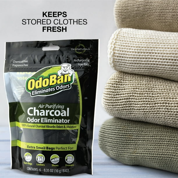10 g Charcoal Odor Eliminators 6 Ct Natural Odor Moisture Absorber Odor Remover Bags for Shoes Drawers Gym Bags