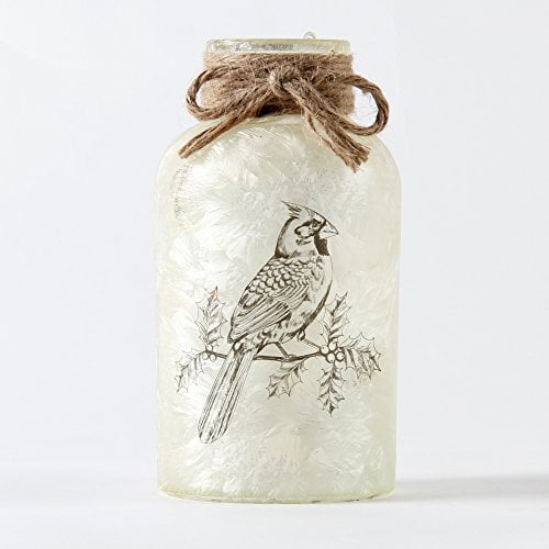 Glitzhome Lighted Frosted Glass Cardinal Mason Jar Luminary - Walmart.com