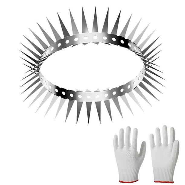 Picos Repelente Palomas Púas para Pájaros Acero Inoxidable Tubería ...