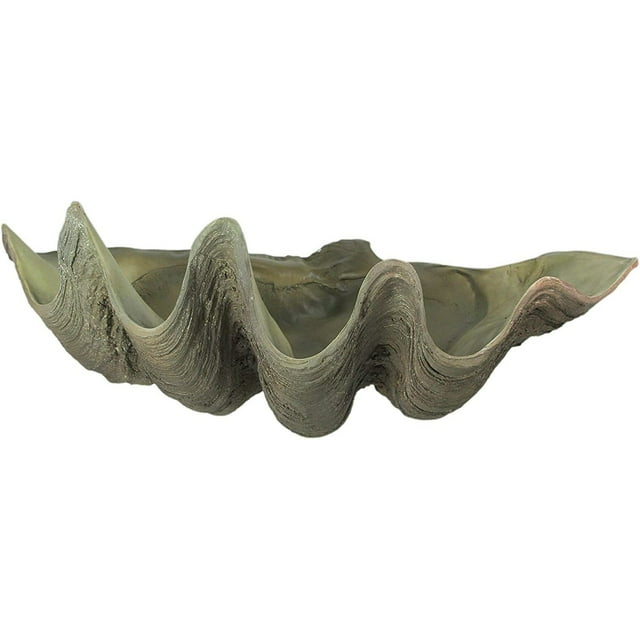 Lifelike Cast Polyresin Giant Clam Shell Decorative Bowl - Walmart.com