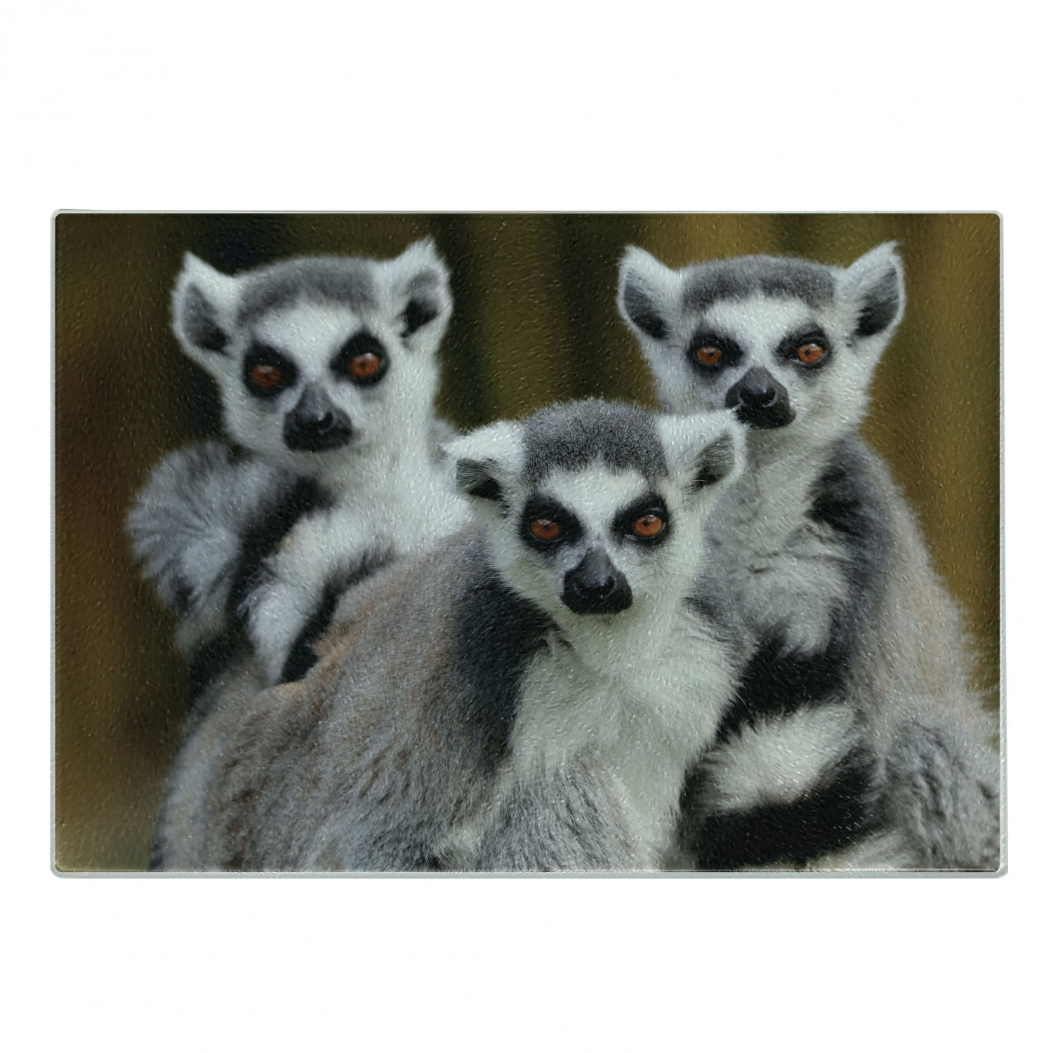 Lemur Cutting Board, Photo of 3 Ring Tailed Wild Animals Watching ...