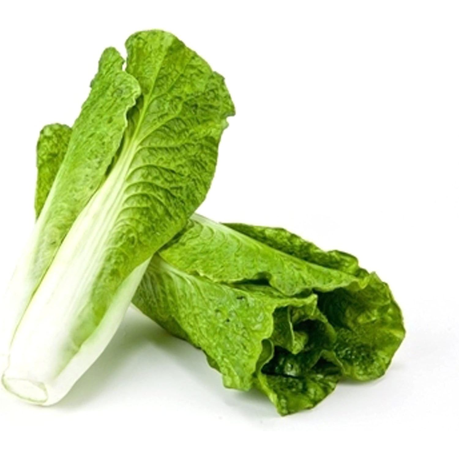 Romaine Lettuce, Artificial Fake Food, 2 Pack - Walmart.com