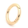 Fenggtonqii 1'' Round Spring Gate O-Ring Clasp Push Snap Hook Screw ...
