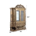 Acme Constantine Curio, Brown & Gold Finish, Resin, Composite Wood ...