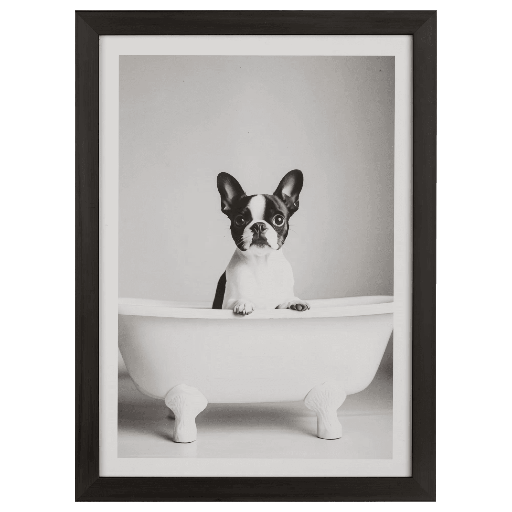 Click here for Bouclair Dog In Bath Framed Wall Art prices