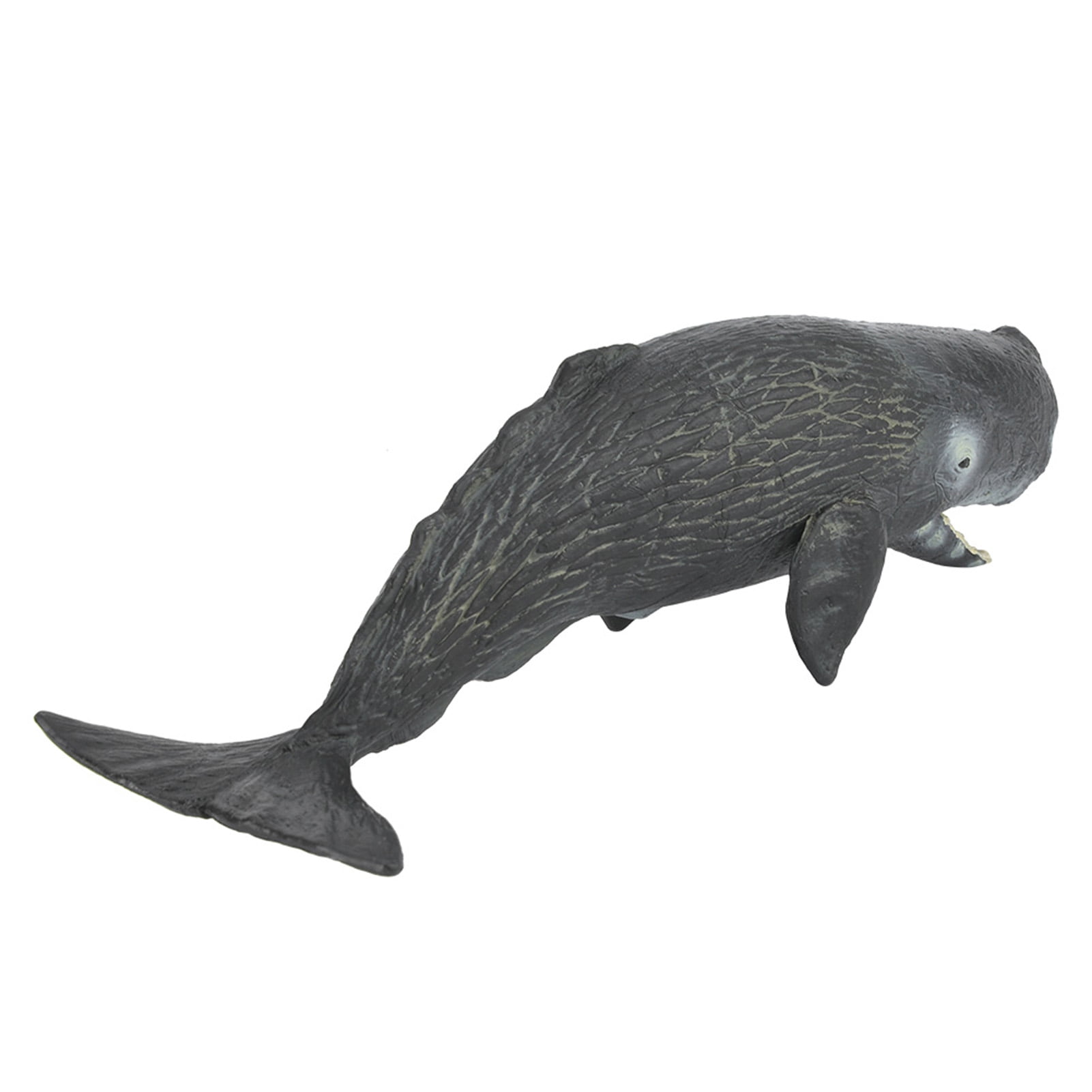 Click here for Walfront Educational Simulation Sperm Whale Toy Fo... prices
