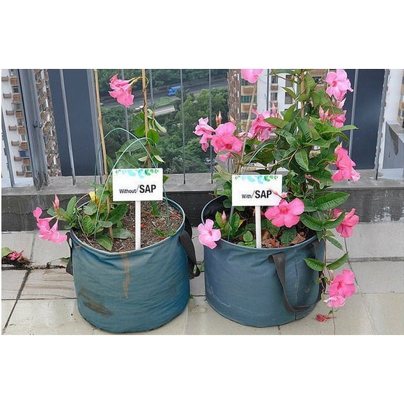 Water Retention Gel Plants