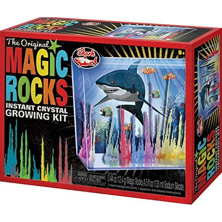 Toysmith Magic Rock Deluxe Box (Assorted Styles) | Walmart Canada