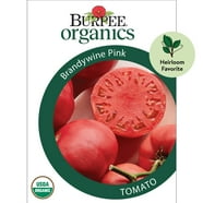 Burpee Organic Sweet Basil Herb Seed, 1-Pack - Walmart.com