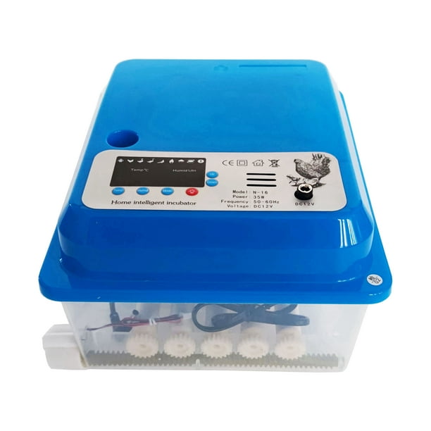 INTBUYING Egg Incubator and Hatcher Small Incubators for Hatching Eggs ...