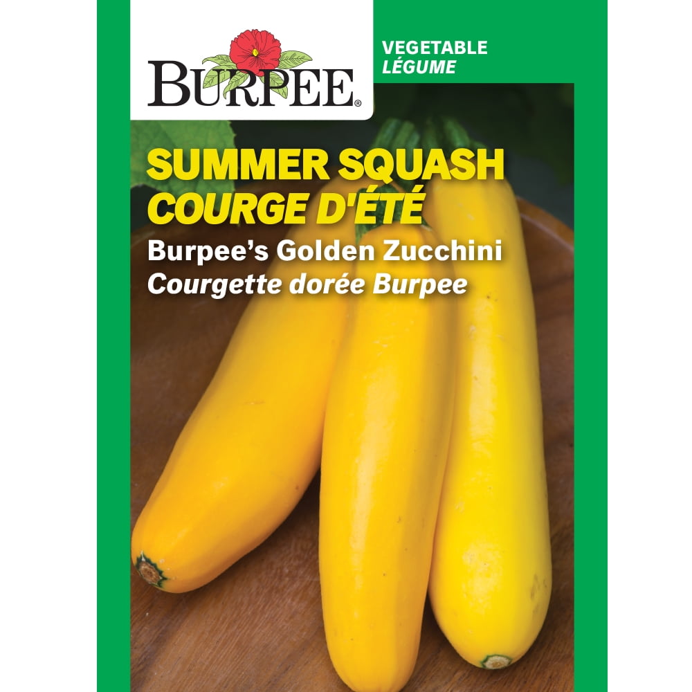Click here for Burpee Canada Burpee Burpees Golden Zucchini Summe... prices