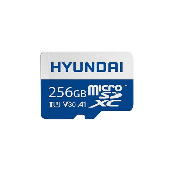 256 GB Memory Cards