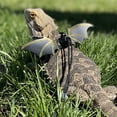CIYISON Adjustable Lizard Leash Set Bearded Dragon Harness Soft Wing ...