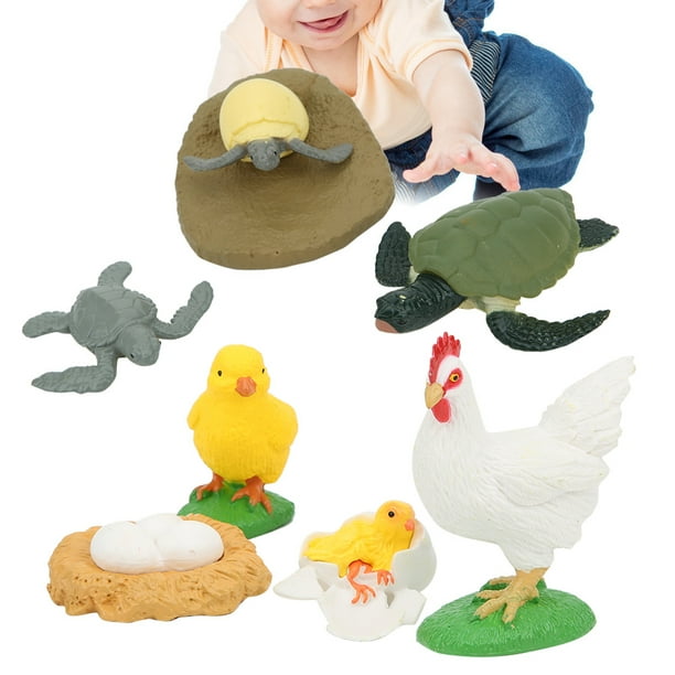 4 Pieces Miniature Chicken Turtle Life Cycle Exploration Set, Chicken ...