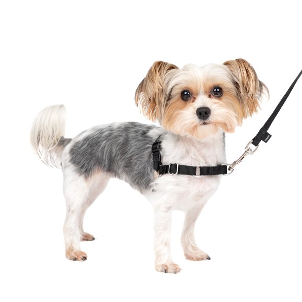 PetSafe Easy Walk Harness, No Pull Dog Harness, Petite/Small, Black ...