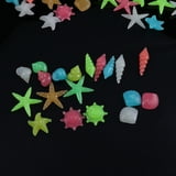 60pcs Colorful Pebble Conch Shell Glow Stones in the Dark for Aquarium ...