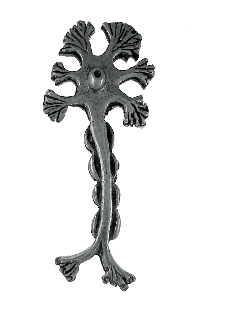 Neuron Lapel Pin - 10 Count - Walmart.com
