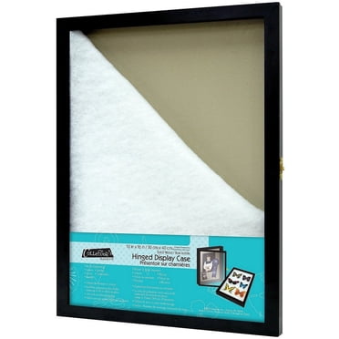 Carbonized Black Shadow Box Frame Real Glass Window Door with Hinge 8 x ...