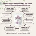 Multi Collagen Protein Powder, Type I, II, III, V, X, Hydrolyzed Collagen, Hyaluronic Acid Power ...