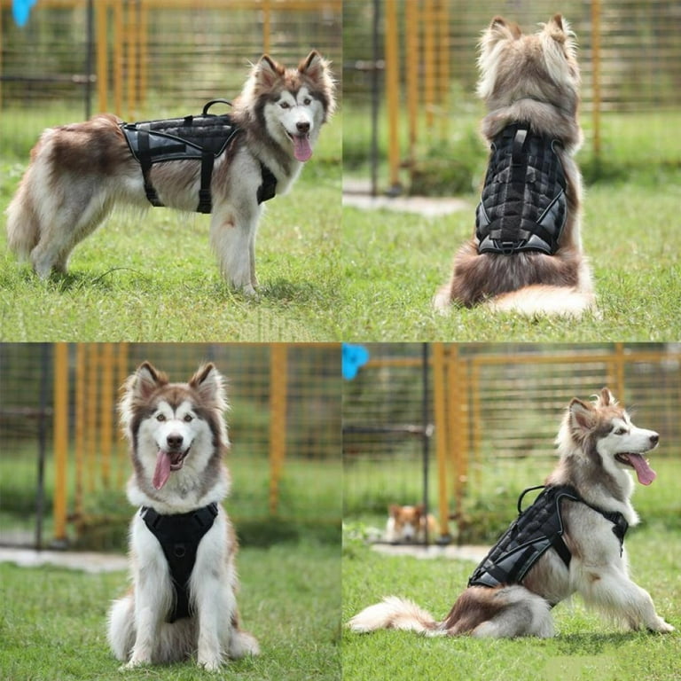 Sled Dog Harness Pattern