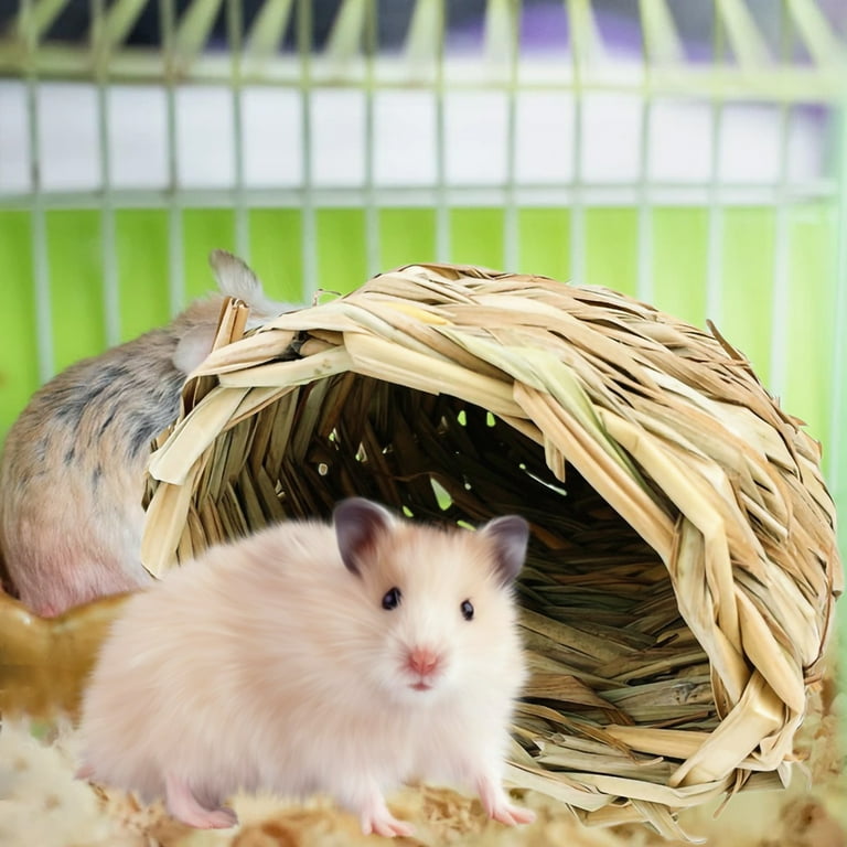 Teddy Bear Hamster Cage