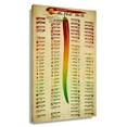 Chili Knowledge Poster Scoville Heat Units Pepper Chart Poster Living ...