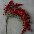 Red Berry Cluster Stem by Ashland® - Walmart.com