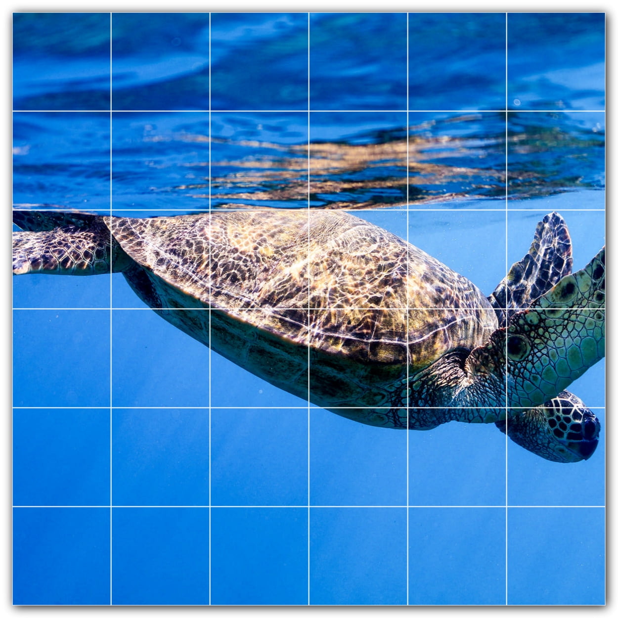 Picture-Tiles.com: Turtle Ceramic Tile Wall Mural WAL501082-66XL. 72"W ...