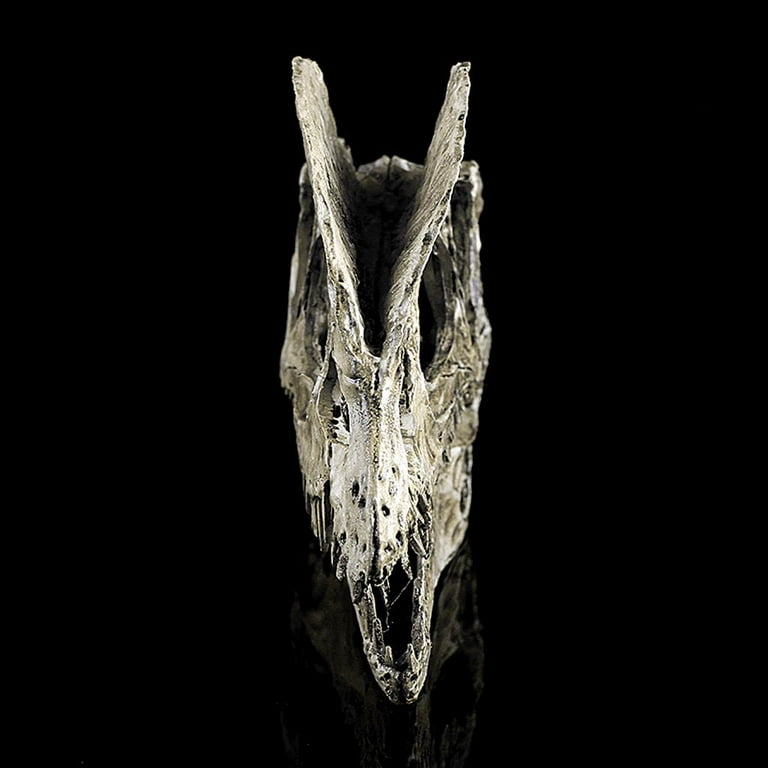 Dilophosaurus Skull Front