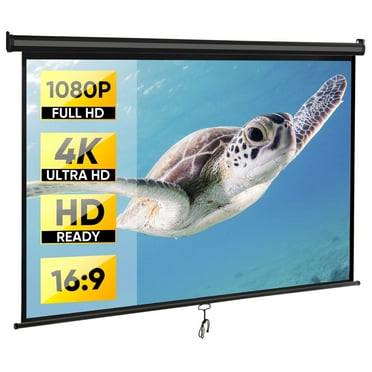 100 Inch Pull Down Projector Screen and Stand Portable Outdoor and ...