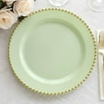 Efavormart 10 Pack Sage Green Plastic Dinner Plates with Gold Beaded ...