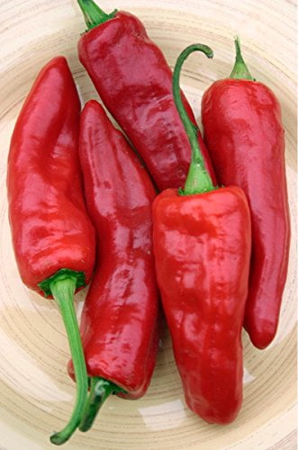 Costa Rican Sweet Pepper Plant - Sweet Red - 4.5" Pot - Walmart.com