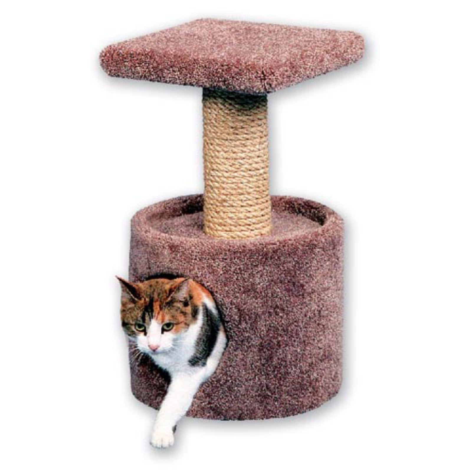 Beatrise 24 in. Cat Condo - Walmart.com