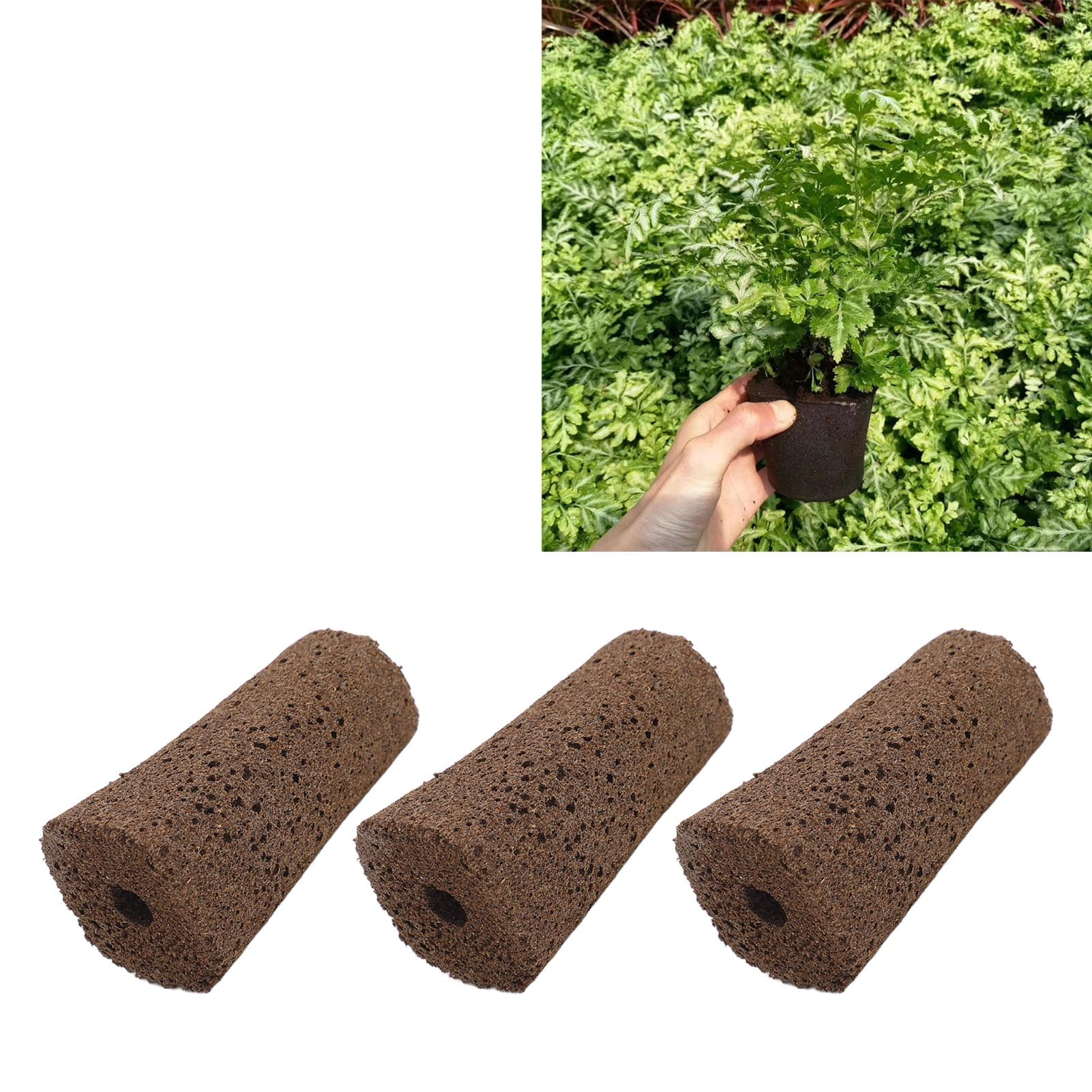 Click here for Loewten Seedling Block Peat Planting Block For Hyd... prices