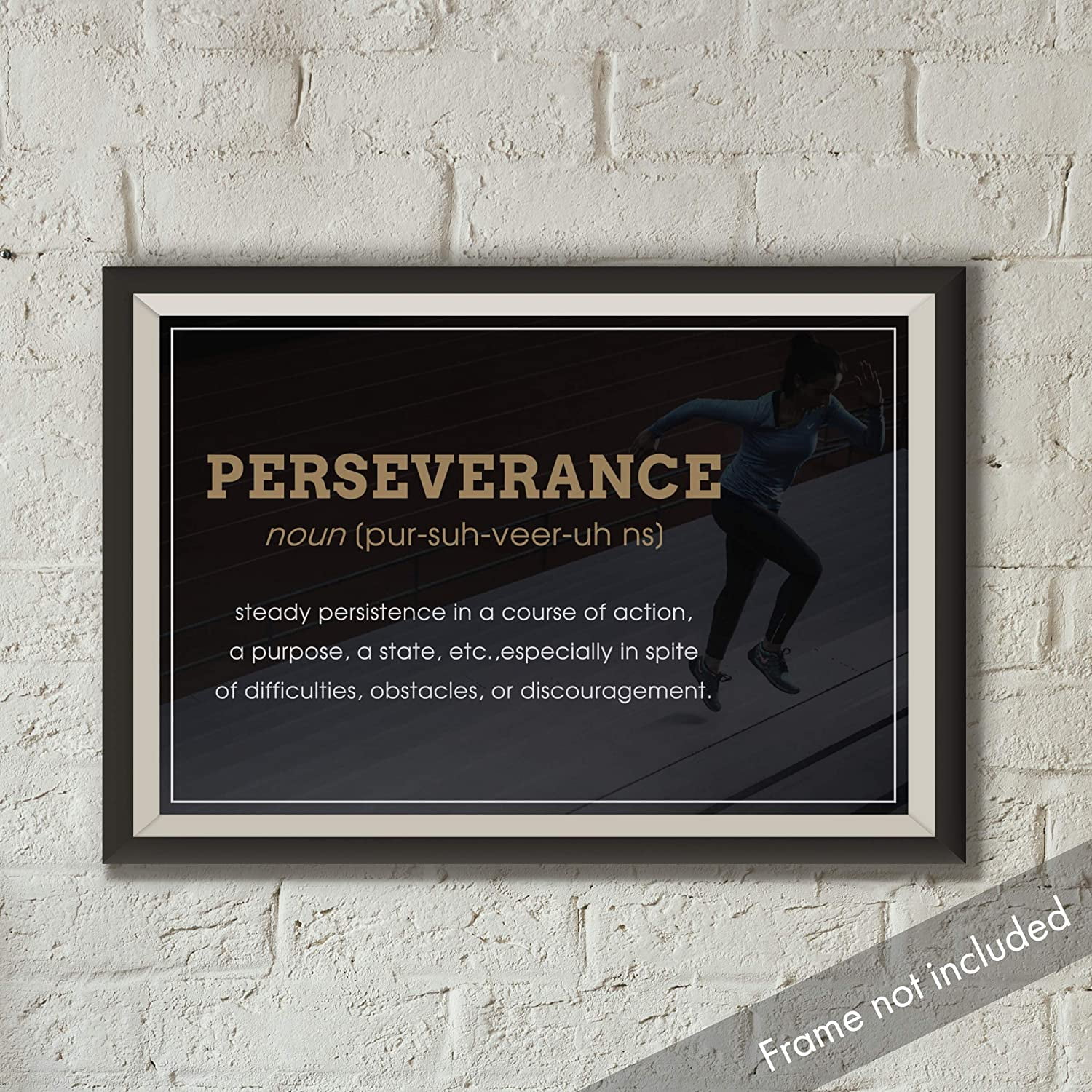Perseverance Classroom Poster