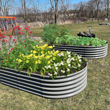 Anleolife 6-Pack 8x4x1.5ft Galvanized Raised Garden Beds Kit, Oval ...