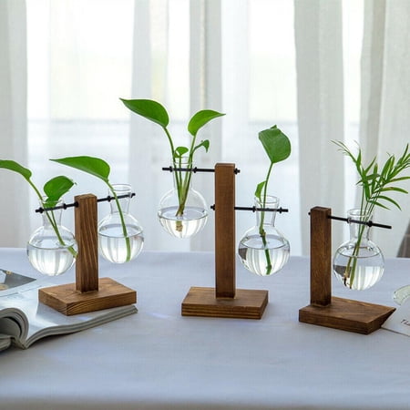 Water Planting Glass Vase Wooden Hydroponics Props (Wooden + Glass ...
