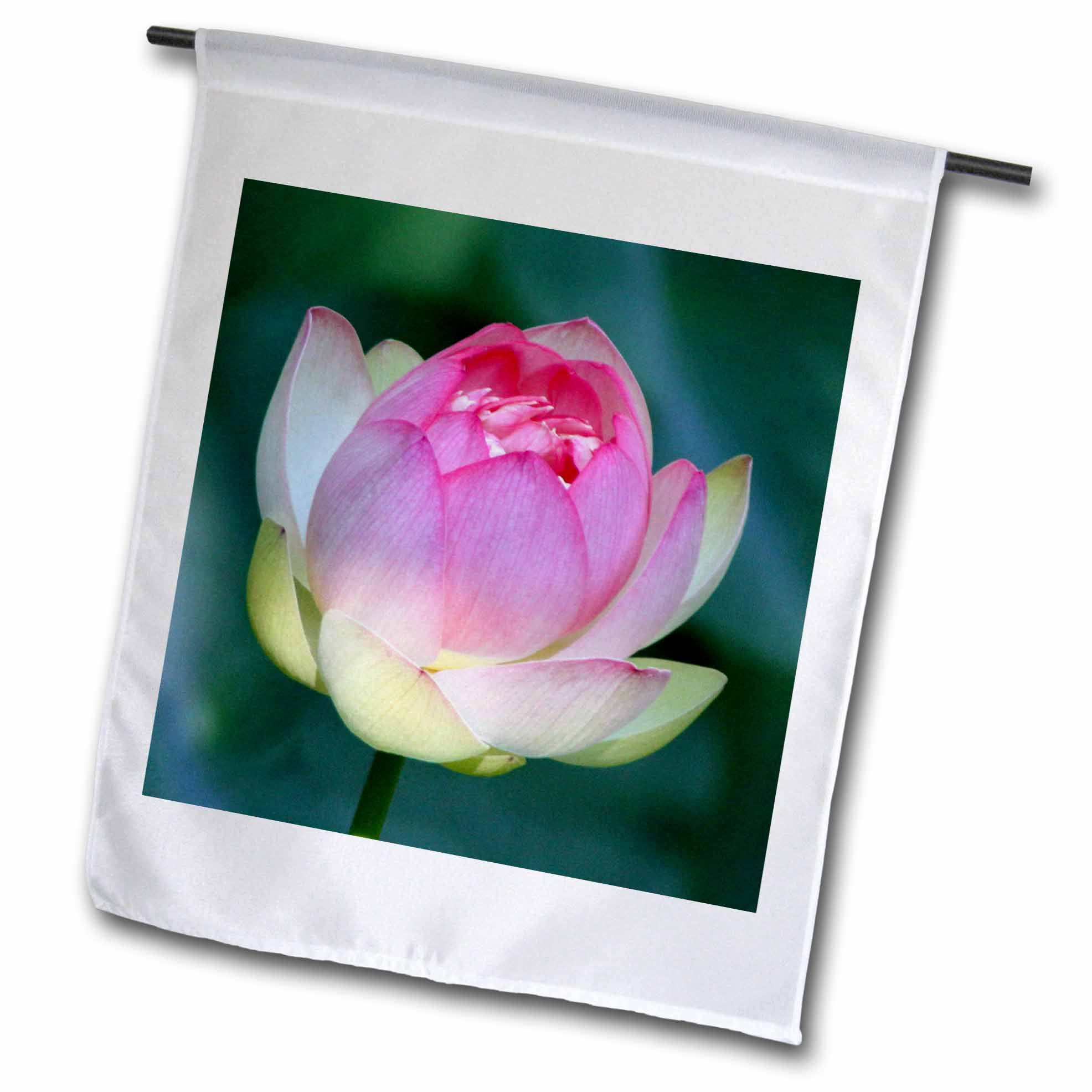 3dRose A lotus flower - Garden Flag, 12 by 18-inch - Walmart.com