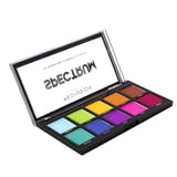 Profusion Cosmetics 10 Shade Eyeshadow Palette - Spectrum 3.5 oz ...